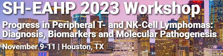 2023 SH/EA4HP Workshop from November 9th to 11th - EA4HP